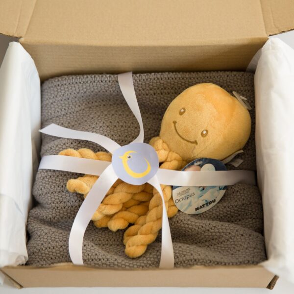 Newborn Bundle | New Baby Gifts | Hippychick