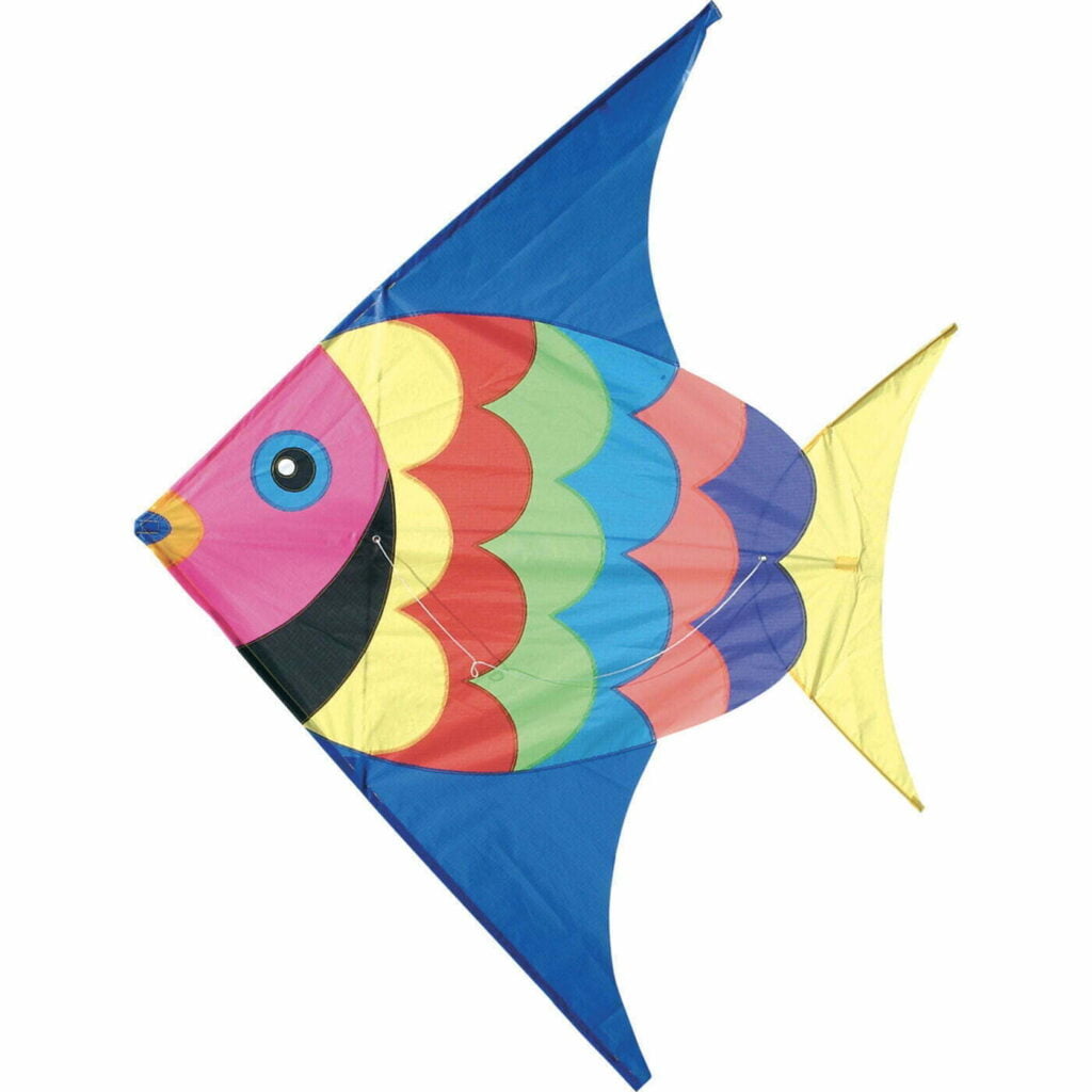 Vilac Giant Fish Kite - Hippychick