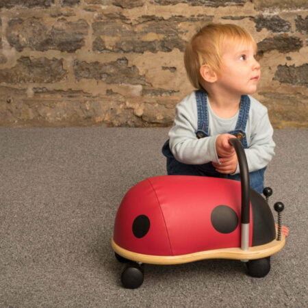Wheely Bug Ride On - Ladybird - Hippychick