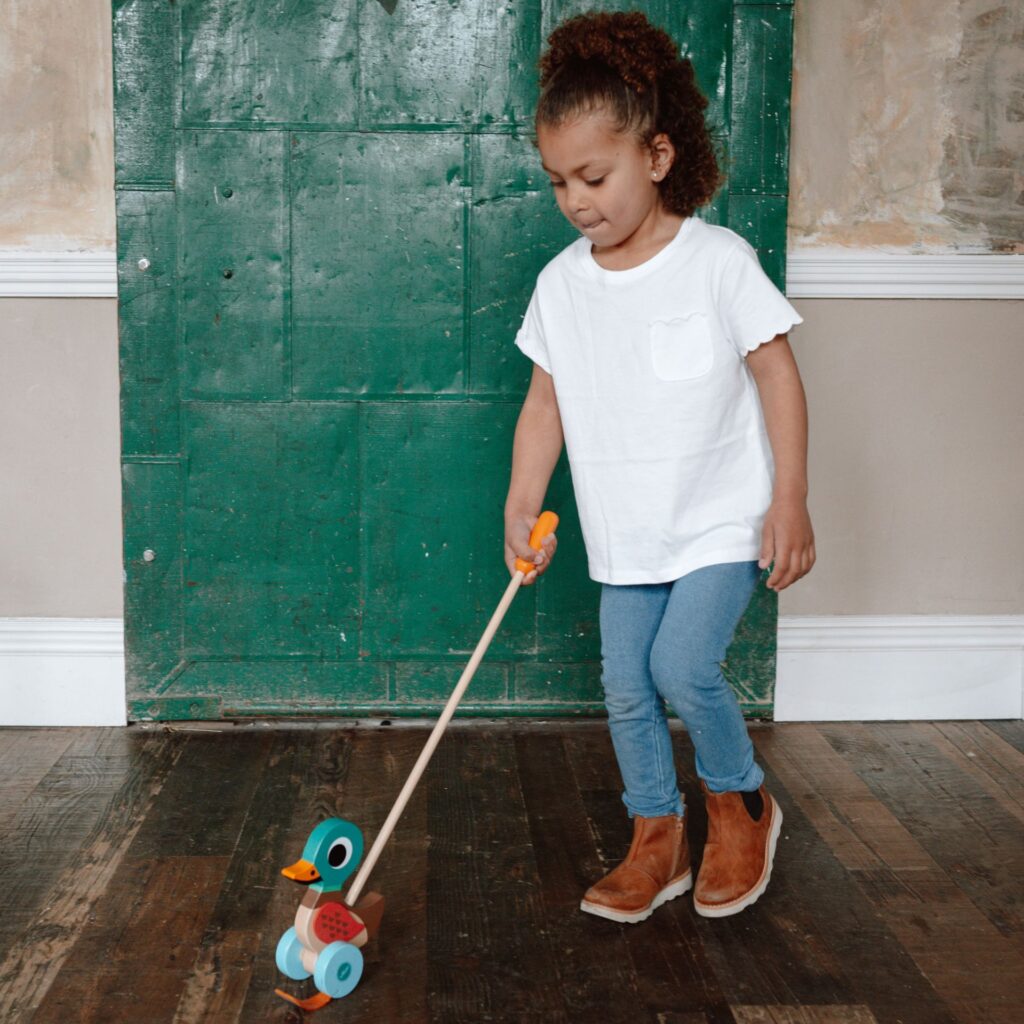 Vilac Duck Push Toy - Hippychick