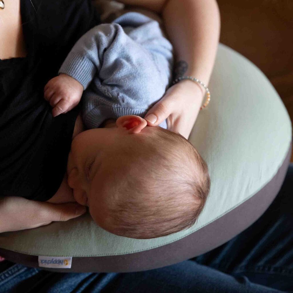 Feeding Pillow | Luxury Nursing Pillow | Hippychick