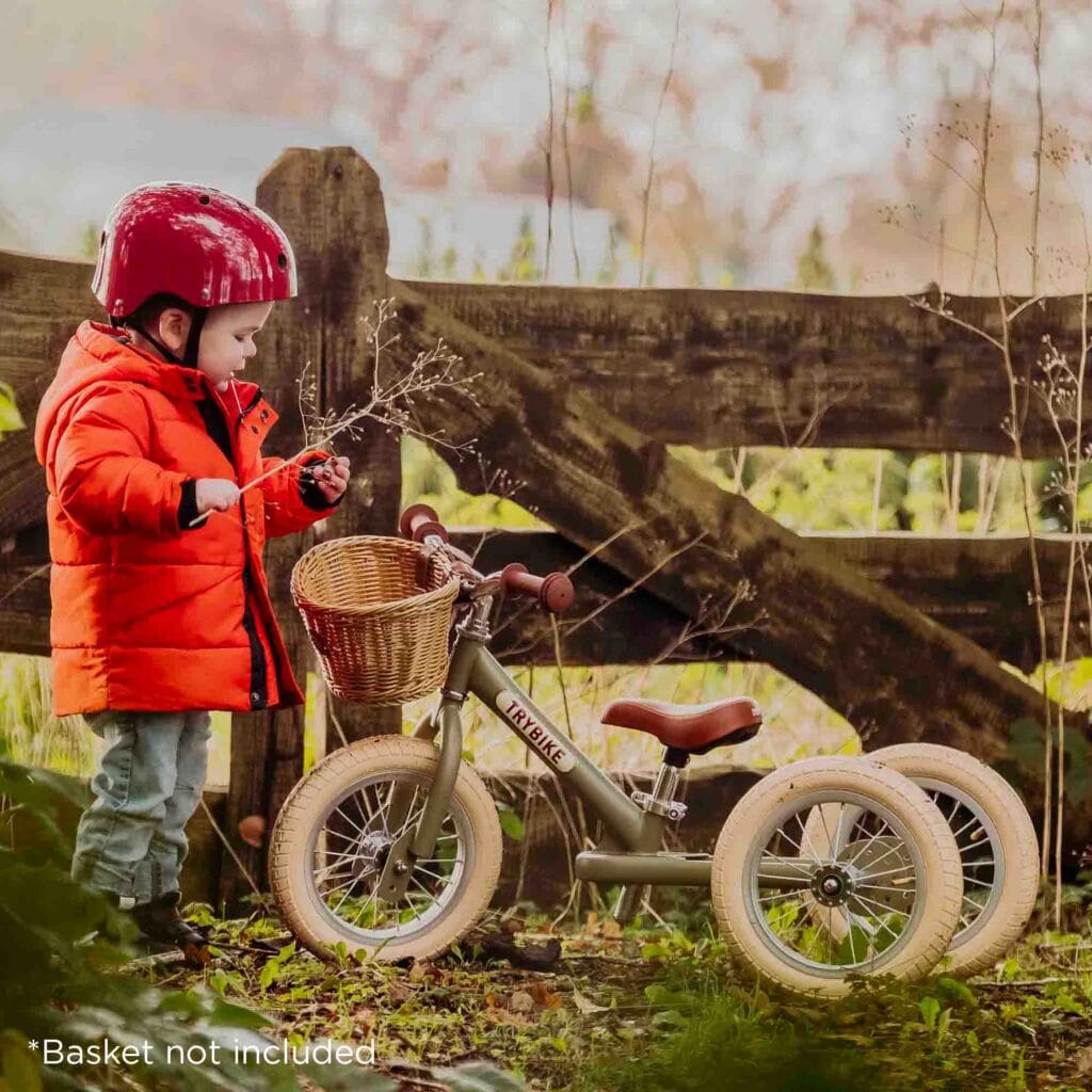 Trybike Steel Balance Trike - Matte - Hippychick